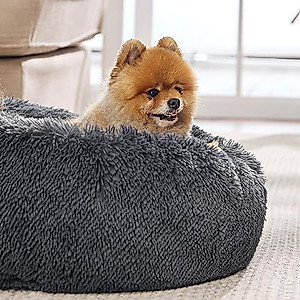 Bedsure Calming Dog Bed for Small Dogs - Donut Washable Small Pet Bed, 23 inches Anti-Slip Round Fluffy Plush Faux Fur Large Cat Bed, Fits up to 25 lbs Pets, Dark Grey