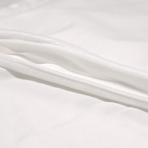 LEKAIHUAI Home Decoration Throw Pillow Covers Christmas Watercolor Holly Berries and Bullfinch Pillowcases Square Two Sides Print 22x22 Inches Set of 2