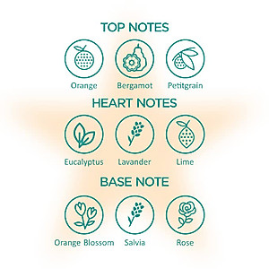 Boiess All day Allstars Vegan Eau de Cologne Orange Crush | Fresh Citrus Orange Scent | Made With Natural & Essential Oils For Kids & Adults | Children Fragrance For Sensitive Skin | Size: 8.45 Fl Oz