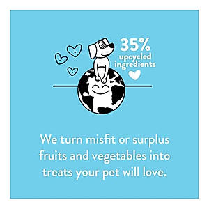 SHAMELESS PETS Dog Dental Treats - Dental Sticks for Dogs, Made with Upcycled Ingredients & Zero Artificial Flavors, Dental Chews for Clean Teeth & Fresh Breath - Variety Pack, Pack of 3