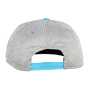 Bioworld Sonic The Hedgehog Face Snapback Youth Hat Gray
