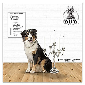 Hamptons Five Candle Candelabra, Silver Finish, Centerpiece, Hand Crafted of Cast Aluminum, Atelier Craft Surface Details, Over 1 FT High, (15.75 Inches)