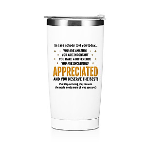 Employee Appreciation Gifts Tumbler Inspirational Gifts Water Bottle Double Wall Travel Coffee Mug Encouragement Stainless Steel Vacuum Insulated Thermal Cup for Women Colleague Birthday Christmas