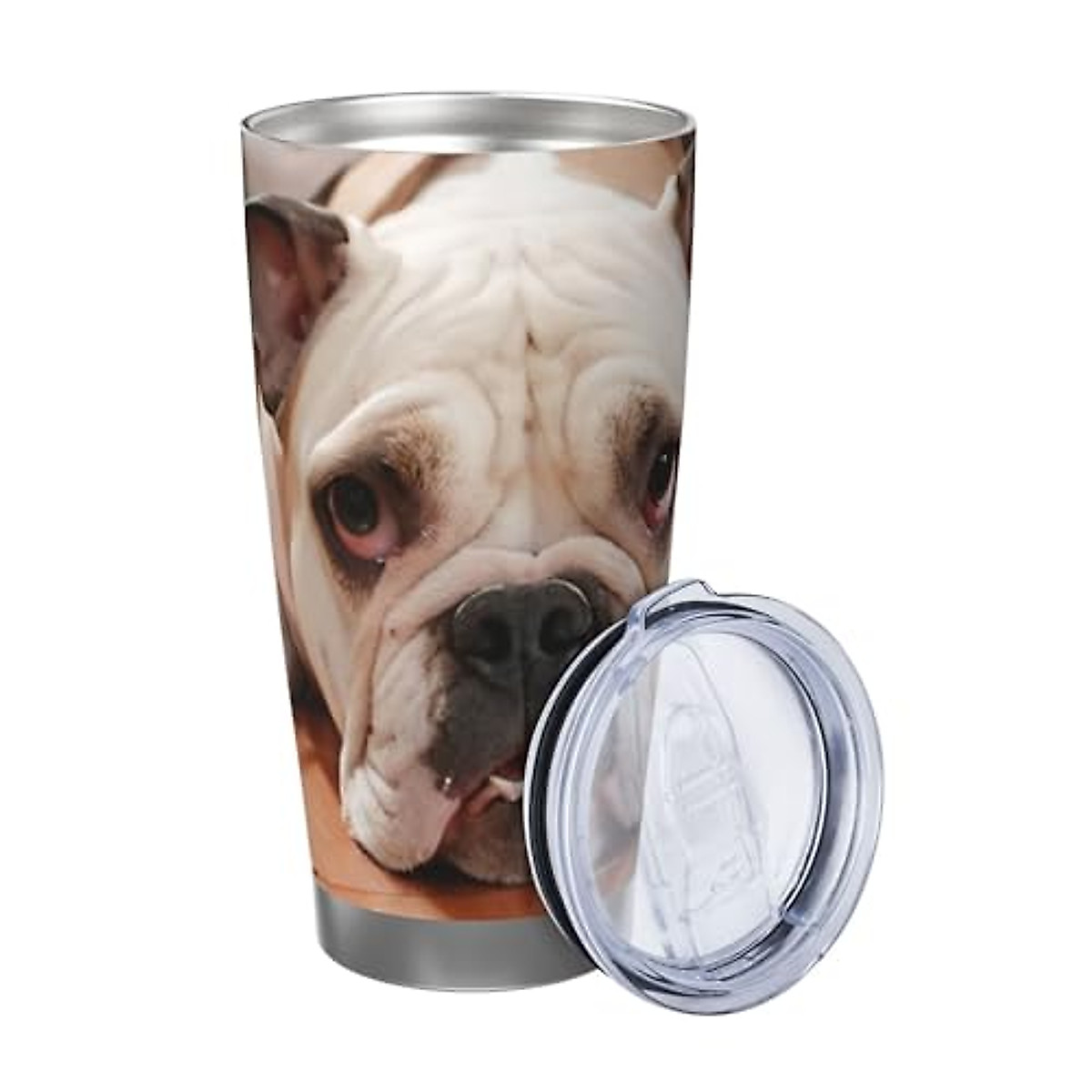 NHJKLWQSZ Lazy Dog Puppy 20oz Stainless Steel Tumbler With Lid And Straw, Double Wall Vacuum Insulated Coffee Mug Travel Cups Leak-Proof Lid For Hot And Cold Drinks, Metal Straws And Brush
