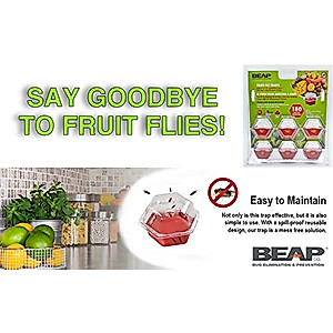 BEAPCO 10036 7 Red 6-Pack Premium Fruit Fly 6 Pre-Filled Trap Flies Indoors | Easy Effective and Safe to Use | Food-Based Lure/Bait Catcher