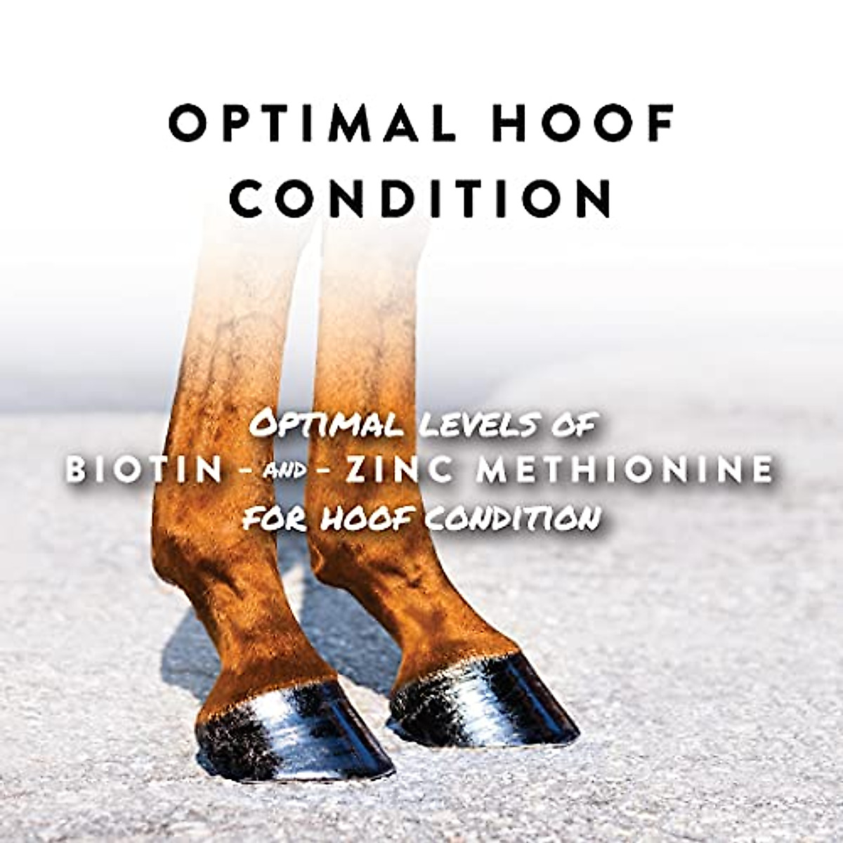 Manna Pro Sho-Hoof Supplement for Horses | Biotin and Zinc Methionine for Healthy Hooves | 5 Pounds