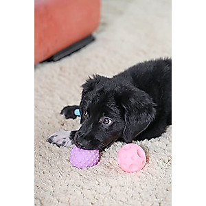 Tamu style Puppy Chew Toys for Teething, 6 Pack, Soft Colorful Vinyl, Fun Ball Shapes, Mentally Stimulating Shapes and Audible Squeaker, Promotes Active, Healthy Play and Even Float in Water