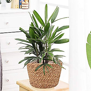 Seagrass Planter Basket Stylish Planter Baskets for Indoor and Outdoor Plants Perfect for Flower Pots Cover and Room Decoration, Set of 4