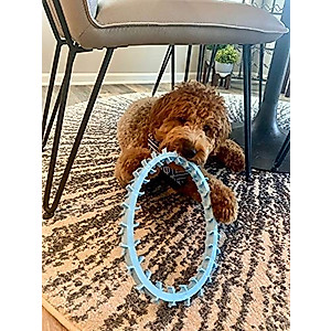 DentapupⓇ Dental Dog Toy Cleaning Teething Chew Ring with Teeth for Medium to Large Breed Dogs - Tartar & Plaque Remover, Gum Massager & Mouth Cleaner for Fresh Breath, Made in USA - Pink