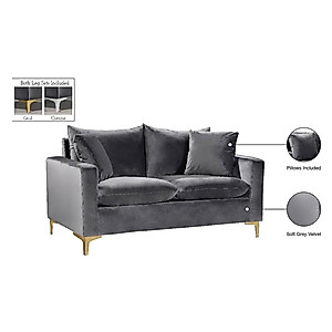 Meridian Furniture Naomi Collection Modern | Contemporary Grey Velvet Upholstered Loveseat with Stainless Steel Base in a Rich Gold or Chrome Finish, 633Grey-L
