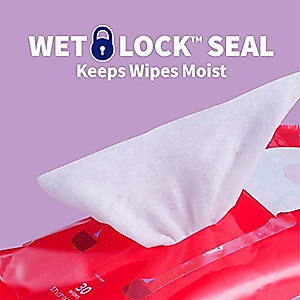 Wet Ones for Pets Delicate Clean Kitten Wipes for Cats with Oatmeal Cat Cleaning Wipes, Mild & Soothing Cat Grooming Wipes with Wet Lock Seal (Pack of 1, 30 Count Total)