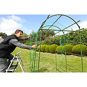 Trellis for Climbing Plants Outdoor | Cucumber Trellis | Pea Trellis by KOGEN (Tunnel Trellis for Climbing Plants Outdoor)