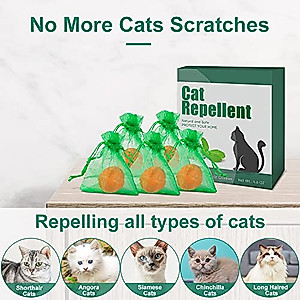 5 Pack Natural Cat Repellent Outdoor Indoor, Peppermint Oil Cat Deterrent Outdoor Repels Cat Dog Deer Rabbit from Garden Yard Lawn Home Keep Your Yard Lawn Porch Furniture Curtain from Cat Damages