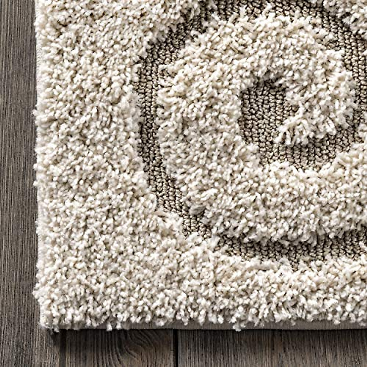 nuLOOM Maisha Contemporary Shag Area Rug, 7x9, Cream