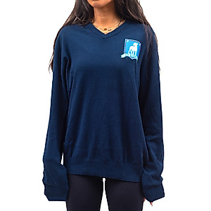 Ripple Junction Ted Lasso Coach AFC Richmond Sweater Costume Long-Sleeve Sweatshirts for Cosplay & Halloween Blue
