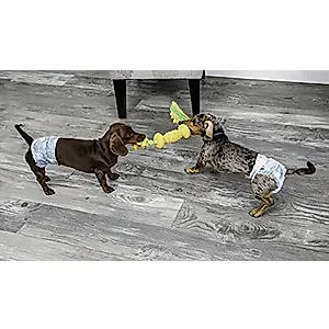 Disposable Dog Diapers with FlashDry Gel Technology - M, 32 Count