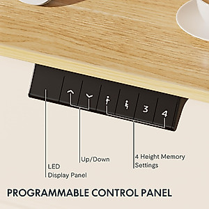FLEXISPOT EN1 One-Piece Standing Desk 40 x 24 Inches Height Adjustable Desk Electric Sit Stand Up Desk Home Office Desks Computer Workstation (White Frame + Maple Desktop)