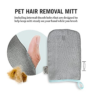 MARTHA STEWART - Pet Hair Removal Mitt | Elegant Dog Hair Remover Mitt for Clothing & Furniture| Reusable Dog Fur Remover for Furniture & Clothes in Gray and Turquoise, Machine Washable (FF18765)