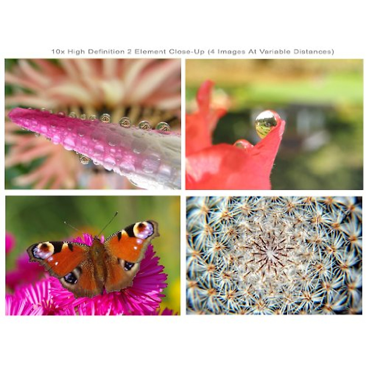 Professional High Definition Lens Accessory Package for SONY ALPH NEX CAMERAS - 40.5mm & 49mm - (NEX-3 Series NEX-5 Series NEX-6 Series NEX-7 Series) Includes: 2.2x Telephoto Lens + 0.43x Wide Angle + 0.42x Fish-eye Lens + (+10) Close-Up lens + 3 Essentia