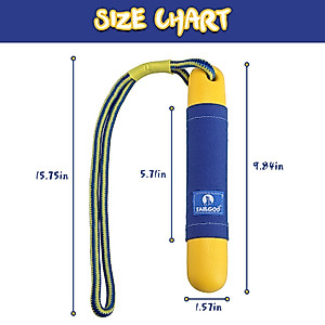 TAILGOO Dog Pool Fetch Toys Interactive Water Floating Toys Outdoor Beach Training Bumpers for Summer, 2 Pack, 10"