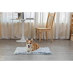 PJYuCien Fluffy Fleece Calming Pet Throw Blanket, Super Soft and Warm for Indoor Cats and Dogs, Small 16 * 24", Machine Washable, Grey Puppy Blanket