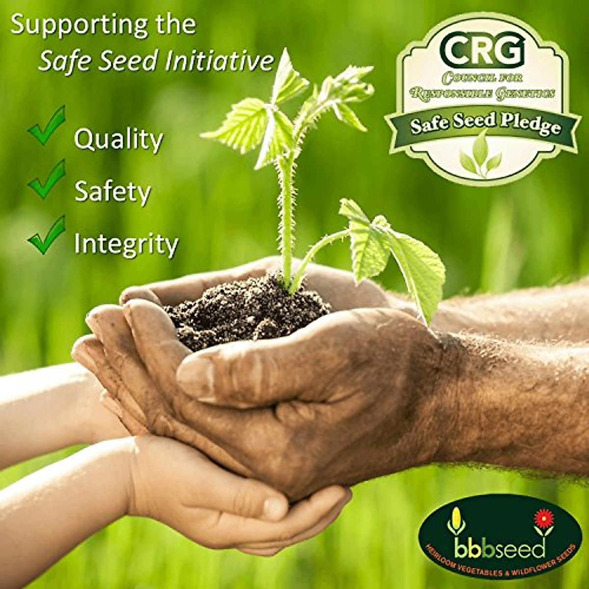 Heirloom Tomato Collection Seeds for Planting, Non-GMO Heirloom Tomatoes, Open Pollinated Garden Seed - Black Krim, Cherokee Purple, Yellow Brandywine, Red Pear, and Yellow Pear, BBB Seed