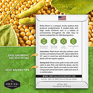 Survival Garden Seeds - Chiba Green Soybean Seed for Planting - 3 Packs with Instructions to Plant and Grow Protein-Rich Edamame Pods in Your Home Vegetable Garden - Non-GMO Heirloom Variety