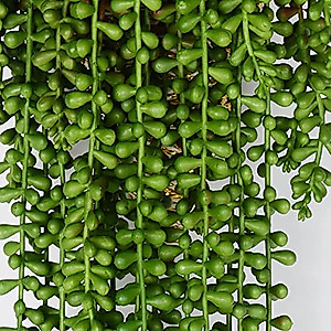 HANDIC 3pack Artificial Fake String of Pearls Plant Faux Hanging Succulents Plants (Green)