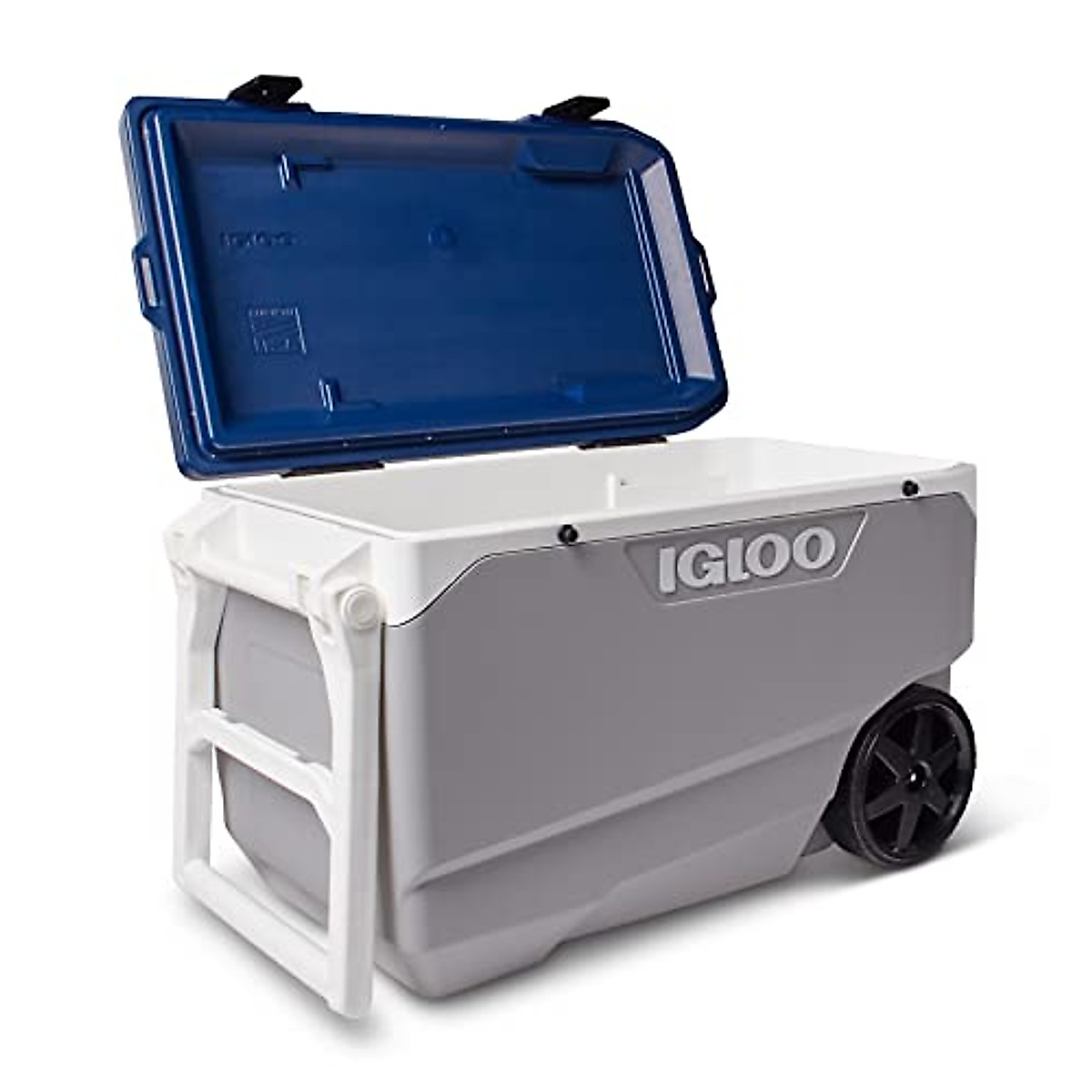 Igloo Maxcold Latitude 90 Roller (Ash Gry.Wht.Aegean Sea.Blk) 00034818