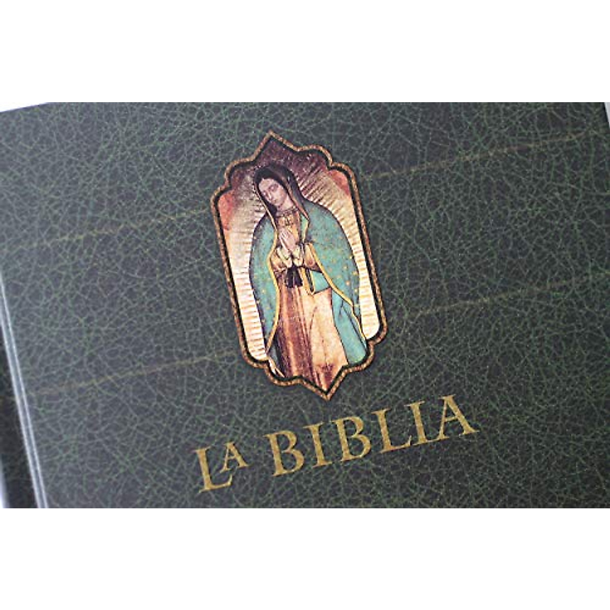La Biblia Católica: Tamaño grande, Edición letra grande. Tapa dura, verde, con Virgen