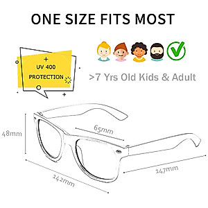 12 Pack Purple Party Sunglasses Bulk, Classic Retro Unisex Adult Glasses