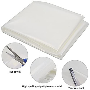 Storystore 2.5 Mil Greenhouse Plastic Film, UV Resistant Polyethylene Film, Green House Hoop Supply Plant Cover Sheeting for Agriculture, Garden (10' x 26')