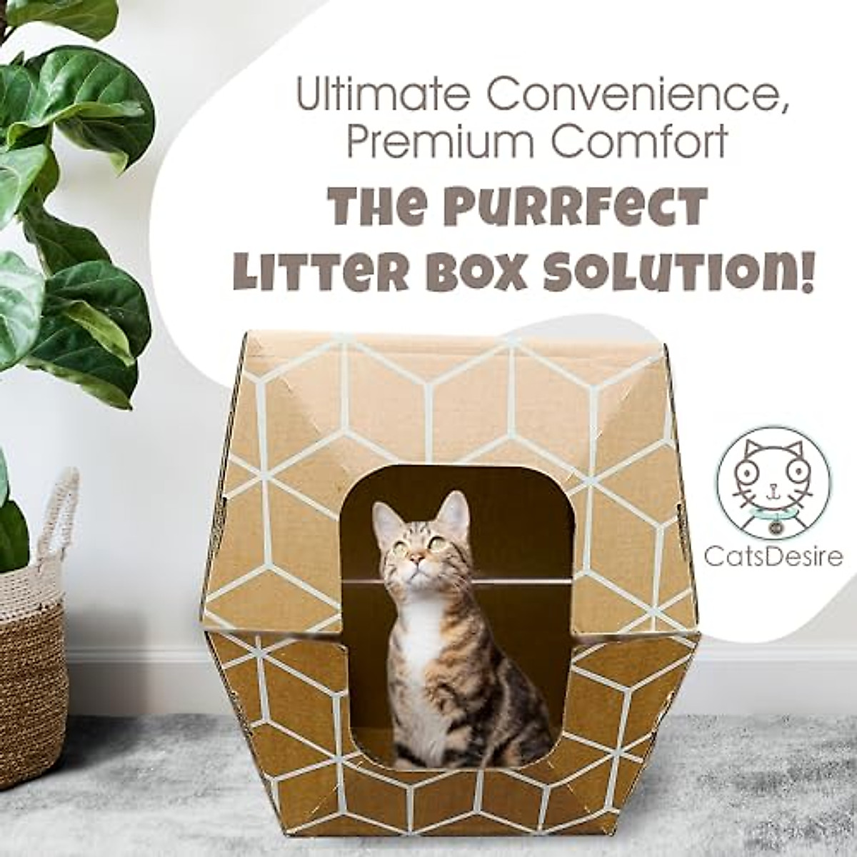 Cats Desire - 15 Trays, Disposable Litter Boxes for Cats - Litter Box, Fits Large Cats - Water Resistant Cat Litter Box - Made in USA, 19" L x17 W x 8.5" H - Enclosed Box