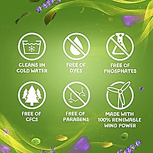 Gain with Essential Oils Liquid Laundry Detergent, The Serene Scent, Lavender & Calm Chamomile, Pack of 2, 42 fl oz Each