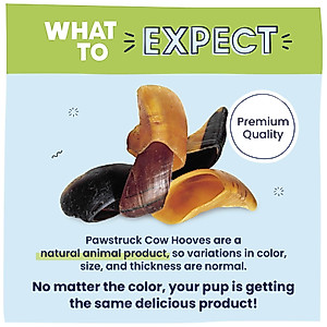 Pawstruck Natural Cow Hooves for Dogs - Made in The USA Long Lasting Beef Hoof Dental Treat Chews - No Artificial Preservatives - 25 Count - Packaging May Vary