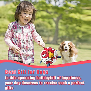 QDAN Chicken Dog Toys Soccer Ball with Straps, Interactive Toys for Tug of War, Puppy Birthday Gifts, Dog Water Toy, Durable Balls for Dogs（8 Inch）