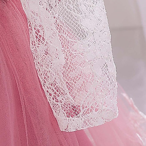 6-24 Months Baby Girl Big Bowknot Lace Flower Wedding Ball Gown Toddler Princess Dresses Pink 6-12 Months