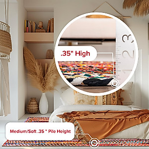 nuLOOM Tammara Bohemian Hand Braided Area Rug, 9x12, Multi