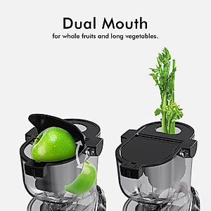 Cold Press Juicer Machine, SiFENE Slow Masticating Juicer, 83mm Wide Chute for Whole Fruits & Vegetables, Easy to Clean, High Yield, Non BPA, Gray