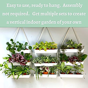 LaLaGreen Hanging Wall Planter - 16 Inch Three Tier Plant Hanger for Succulent Indoor Herb Planter Modern White Boho Metal Wall Plant Holder Decor, Vertical Garden Hanging Planter Shelf Large Outdoor
