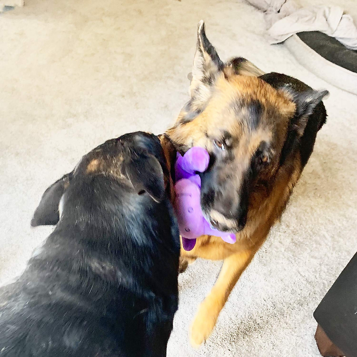 Jalousie 5 Pack 12'' Dog Toys Assortment Value Bundle Dog Plush Toys Dog Squeak Toys12 Inch Each Dog Squeaky Toys Assortment for Medium to Large Breeds - Include Raccoon Elk Hippo Fox Sloth