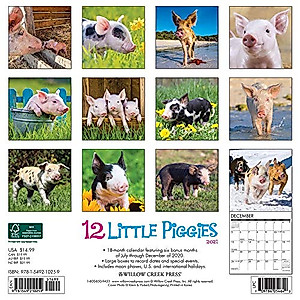 12 Little Piggies 2021 Wall Calendar