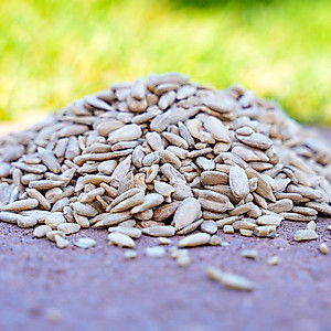 Desert Valley Sunflower Hearts and Chips Seed, All Natural, Non-GMO Premium Wild Bird and Wildlife Food (3 Pounds)