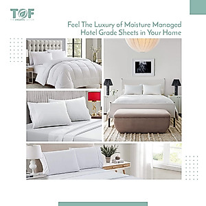 Twin Sheets - 100% Organic Cotton Twin Sheets Set, White Twin Bed Sheets, GOTS Approved, 400TC, 3 Piece Bedding Set, Soft Sateen Weave, Sabanas Twin, Deep Pocket Twin Sheets Fitted, Twin Sheets Cotton