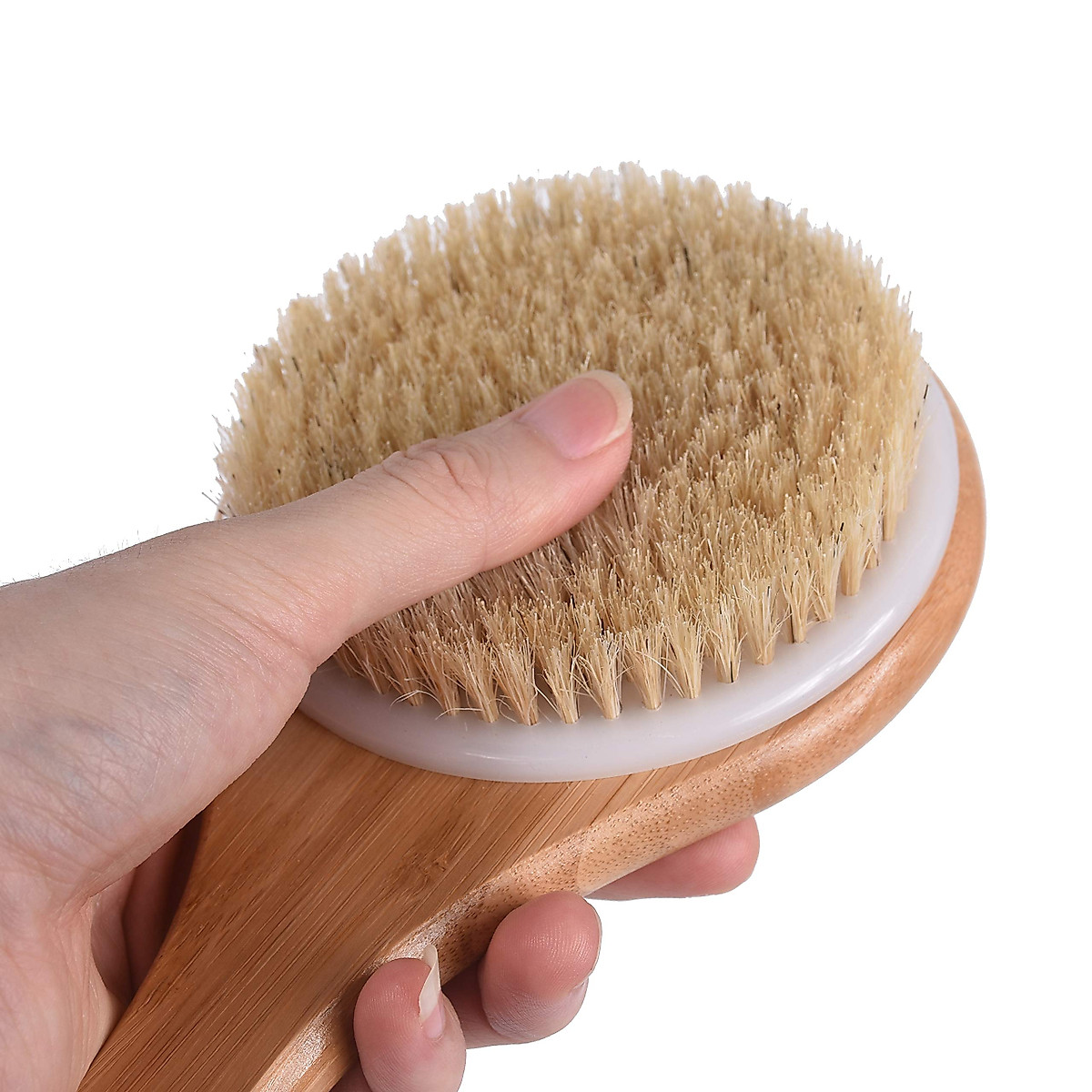 Chikoni Dry Bath Body Brush Back Scrubber with Anti-Slip Long Wooden Handle, Natural Bristles Body Massager, Perfect for Exfoliating, Detox and Cellulite, Blood Circulation, Good for Health