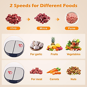 Qinkada Food Processors with 2 Bowls, 400W Meat Grinder, Food Chopper Electric, 2 Speed, 8Cup Glass and 8Cup 304 Stainless Steel, 2 Blades, Spatula (Blue)