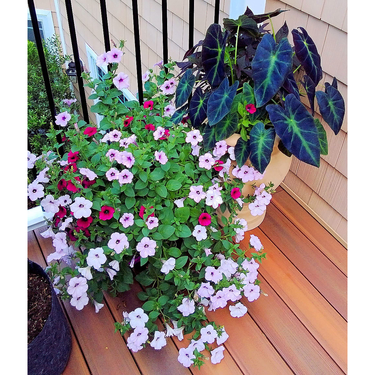 EarthPods Premium Flower Fertilizer - Easy Organic Flower Plant Food Spikes - 100 Capsules - Boost Blossoms (Great for Roses, Potted Annuals, Perennials, Flower Bulbs, Hanging Baskets)