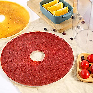 COSORI Food Dehydrator Machine Fruit Roll Sheets, BPA-Free Dehydrator Sheets for CO165 Food Dehydrator for Jerky Meat Beef Fruit, C165-2FR,2Pack