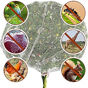 6.9' x 8.5' Large Fruit Tree Netting, Ultra Fine Mesh Garden Insect Tree Cover with Drawstring Transparent Bird Plant Barrier Flower Fruit Mesh Screen for Preventing Deer Squirrel Bug