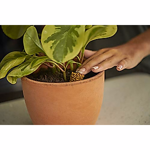 Osmocote PotShots: Premeasured House Plant Food, Feed for up to 6 Months, 25 Nuggets